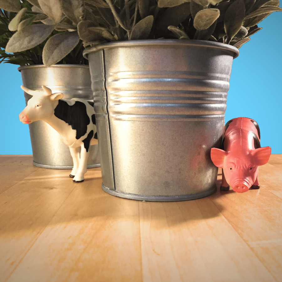 /Random.Nature.Generator – LUKEWORGAN.COM